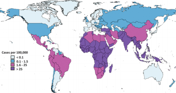 Typhoid Fever: Part 1 - Water To Thrive