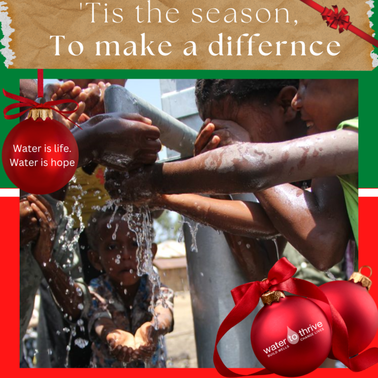 Home - Nonprofit - Water To Thrive