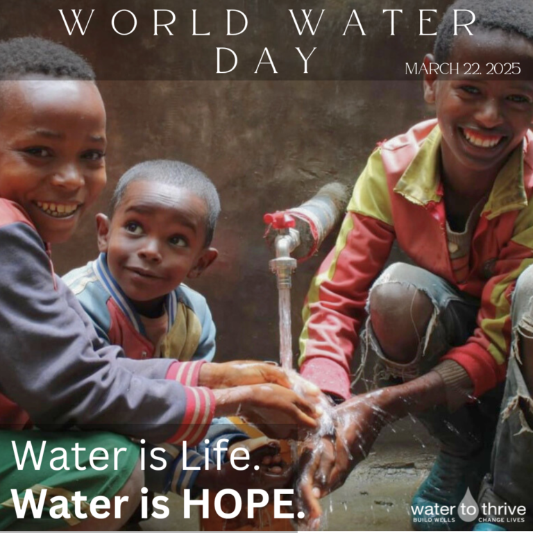 World Water Day Facts: Understanding the Water Crisis - Water To Thrive